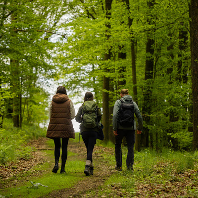 Pionierbaumarten 🌳 Birke, Espe & andere Pionierbäume